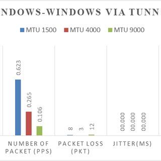 Testing Windows Without Tunnels Download Scientific Diagram
