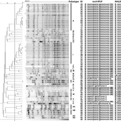 Current Position Of Maldi Tof Ms In The Workflow Of The Clinical
