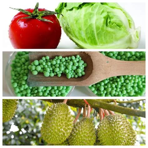 High Efficiency Water Soluble Granular Npk Compound Fertilizer 20 20 15