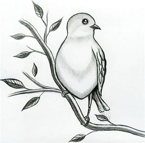 25 Easy Bird Drawing Ideas Picture