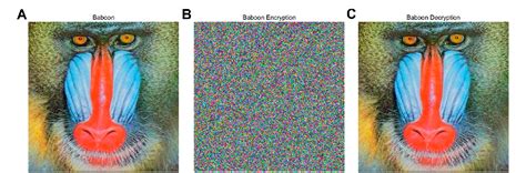 Figure 14 From Design And Fpga Implementation Of A Pseudo Random Number Generator Based On A