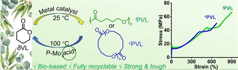 Dual Recycling Of Depolymerization Catalyst And Biodegradable Polyester That Markedly