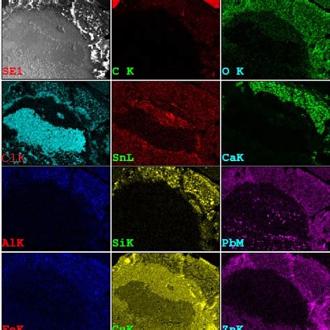 sem edx edx elemental mapping a and plm b of the corroded edge of