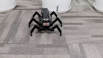 Freenove Arduino Compatible Robot Ant Robotic Gizmos