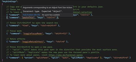Vs Code Linter For Settings Reports Valid Commands As Errors · Issue