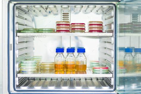 Agar Medium And Broth From The Microbial Test Incubate In The Incubator In Microbial Laboratory