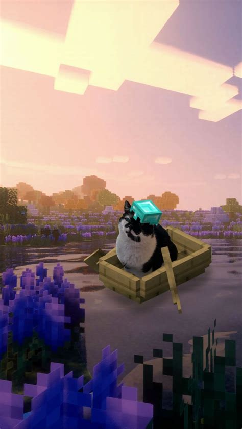 Minecraft Cat Wallpapers 4k Hd Backgrounds On Wallpaperbat