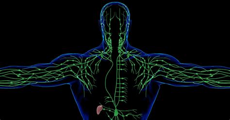 When To Worry About Swollen Lymph Nodes