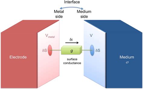 Schematic Representation Of The Electrodemedium Interface During An