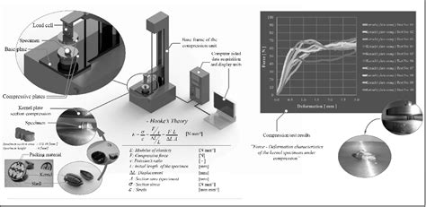 Figure 1 From Non Linear Fem Based Compression Simulation Of Pecan