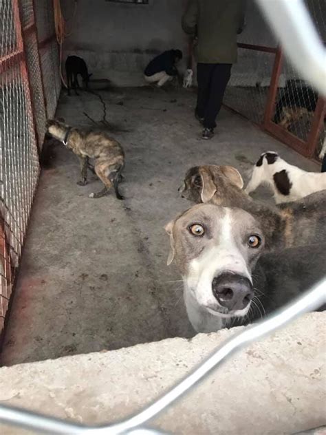 Lori Ann Loriann Twitter