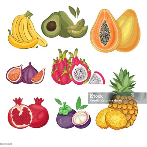 열대 과일 손으로 그린 벡터 아보카도 드래곤 과일 파파야 파인애플 바나나 석류 망고스틴 무화과 유기농 과일 또는 채식 식품을 곁들인 비건 요리 용과에 대한 스톡 벡터 아트