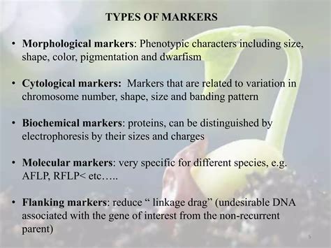 MOLECULAR MARKER AIDED BREEDING Pptx Genetics Science