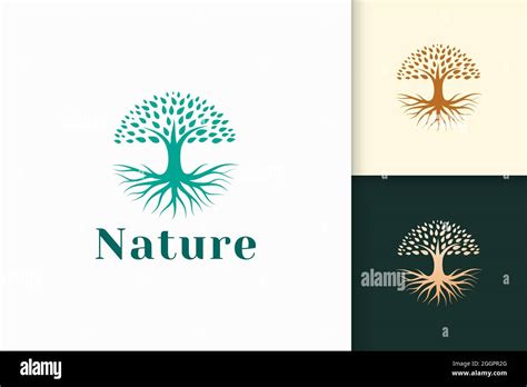 Circle Tree Logo With Root In Green Color And Modern Shape Stock Vector Image Art Alamy