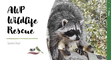 A Cheat S Guide To Power BI Report Design EXPLORATIONS IN DATA STORYTELLING WITH POWER BI