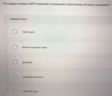 solved the largest number of atp molecules is produced in