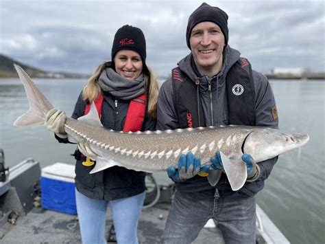 Sturgeon