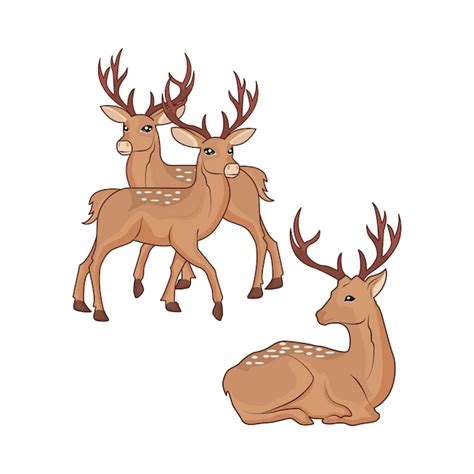 Premium Vector Illustration Of Deer