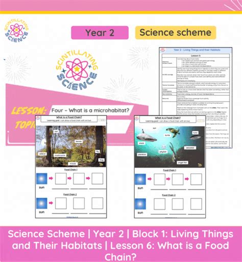 eyfs teaching resources nursery and reception schemes of work