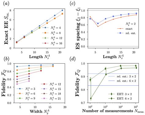 A The Exact Entanglement Entropy Exhibits Linear Scaling With N A X