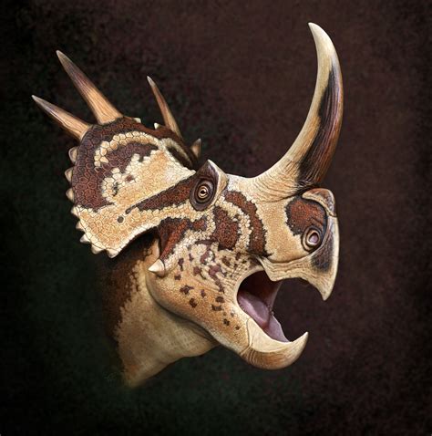 Einiosaurus Skull