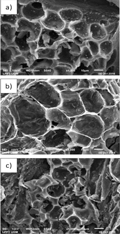 SEM Micrograph Of A Char B ACM And C ACF Download Scientific Diagram