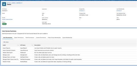 10 Crucial Salesforce Permissions You Should Not Assign To Users Salesforce Ben