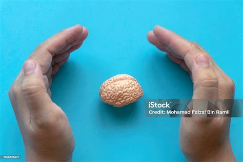 뇌 질환 정신 건강 알츠하이머병 파킨슨병 치매 뇌졸중 발작의 개념 누트로픽은 기억력과 신경 기능을 향상시키는 데 사용됩니다 헬스케어 배너입니다 손 덮개 뇌 모델 개념에 대한