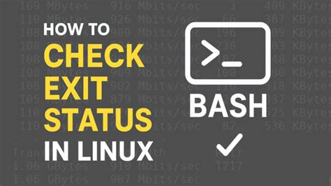 How To Check Exit Status In Linux Command And Bash Examples