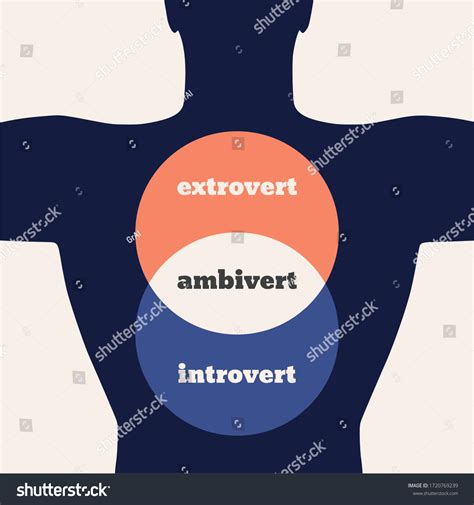 Extrovert Ambivert Introvert Concept Human Psychology Stock Vector Royalty Free