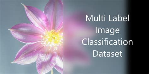 multi label image classification dataset kaggle