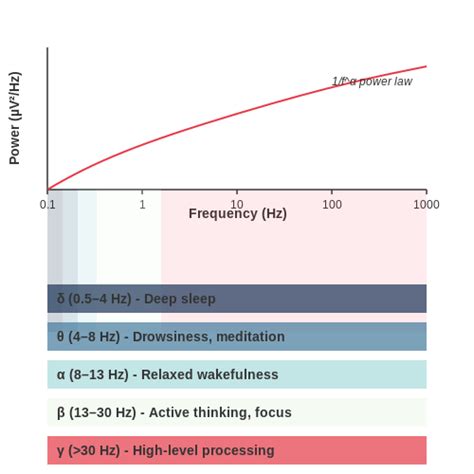 signal processing for eeg ecg tutorials on electronics next electronics