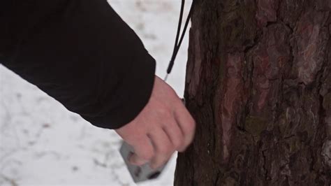 Spy Camera Hidden Videos Download The Best Free 4k Stock Video Footage And Spy Camera Hidden Hd