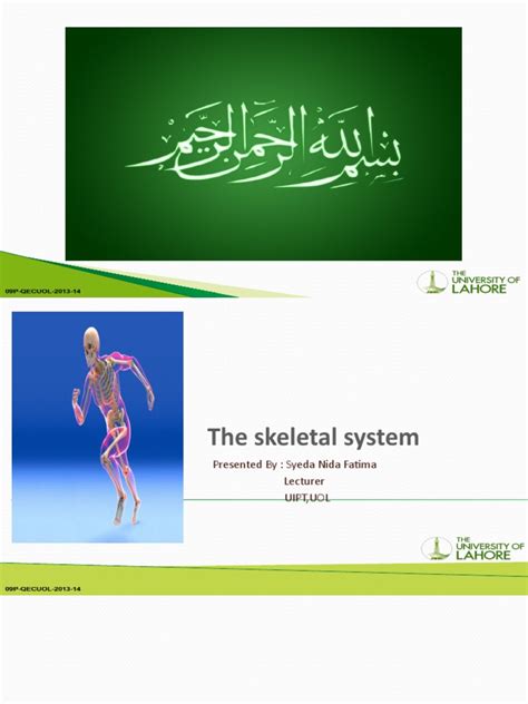 lecture 6 skeletal system lecture 4 pdf joint musculoskeletal