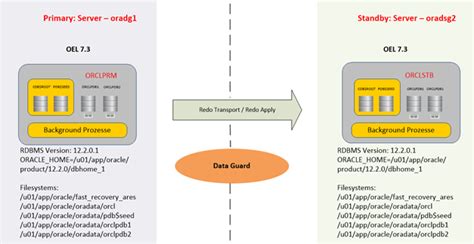 Steps To Configure Oracle Data Guard Version 122 For A Pluggable