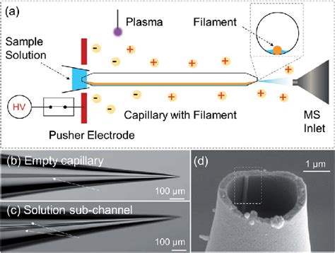 Electrospray Ionization Mass Spectrometry Capillary At Zara Baillieu Blog
