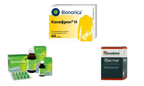Уролесан как пить при цистите - Информация, которая удивляет