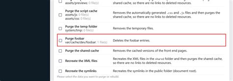 Purge Task Contao Developer Documentation