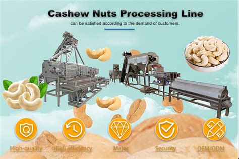 Automatic Cashew Nut Kernel Processing Machine High Quality Automatic