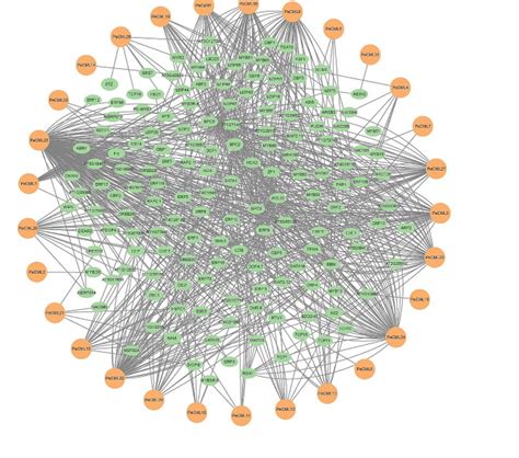 Genome Wide Identification And Expression Analysis Of Calmodulin And Calmodulin Like Genes In