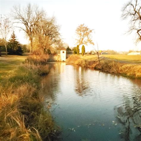 20241101 163136 L Leech Flickr