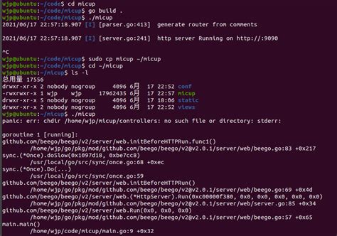 A New Beego Project Copy The Build Result To A New Folderpanic · Issue 4669 · Beegobeego