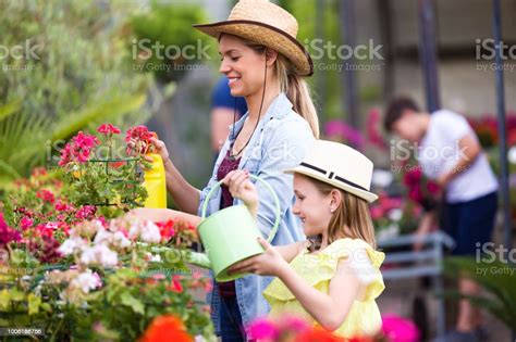 온실에서 식물에 물을 주고 그녀의 딸과 함께 아름 다운 젊은 여자 가족에 대한 스톡 사진 및 기타 이미지 가족 건강한 생활방식 귀여운 Istock