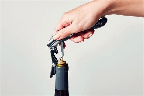 What Is A Nick And Nora Glass Wine Enthusiast