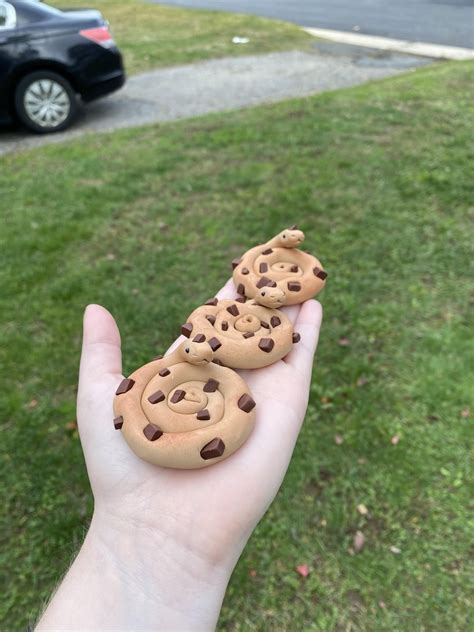 i made some cookie ball pythons they are made from clay i also have a