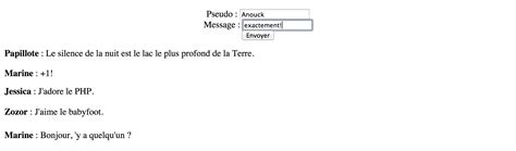 Cour Concevez Votre Site Web Avec Php Et Mysql Demande Daide Sur Le Tp Un Mini Chat Par