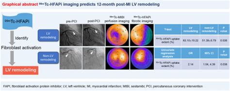 99mTc HFAPi SPECT Imaging Predicts Left Ventricular Remodeling After Acute Myocardial Infarction