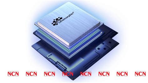 Ceremorphic Introduces Custom Silicon Development To Speed Customer Hpc