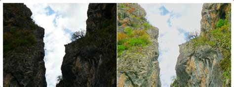 Example Of A Limitation Of The Vevid Algorithm Whereas Dynamic Range Download Scientific