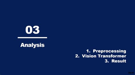 GitHub Lee Eun Ju Project Image Classification Vision Transformer